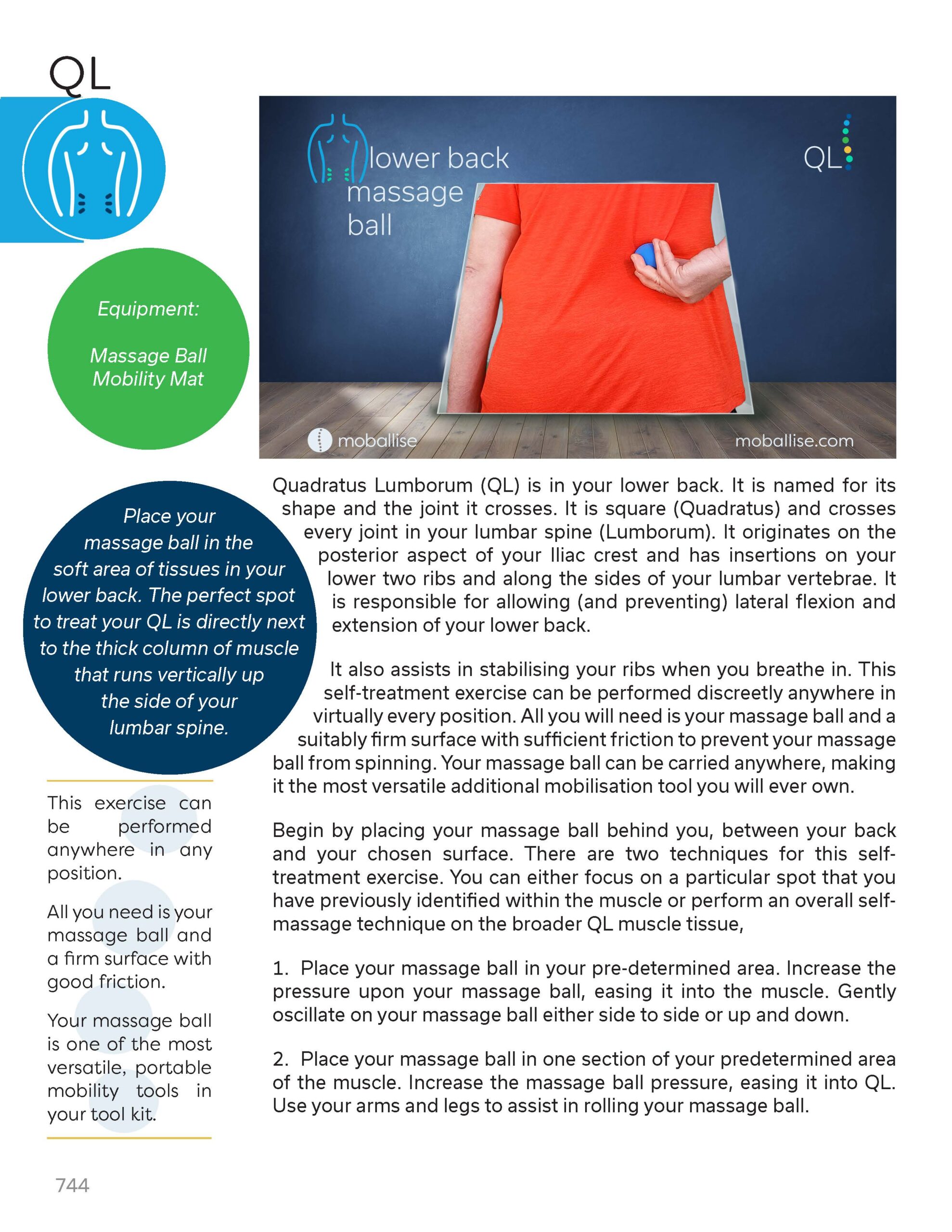 Lower Back Pain | Specialist Physiotherapy | Moballise